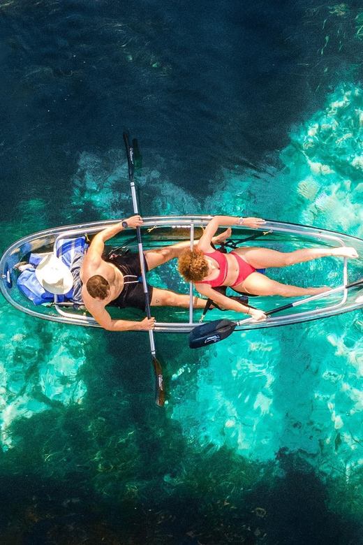 Silver Springs: Clear Kayak Wildlife Tour - Why You Should Consider This Tour