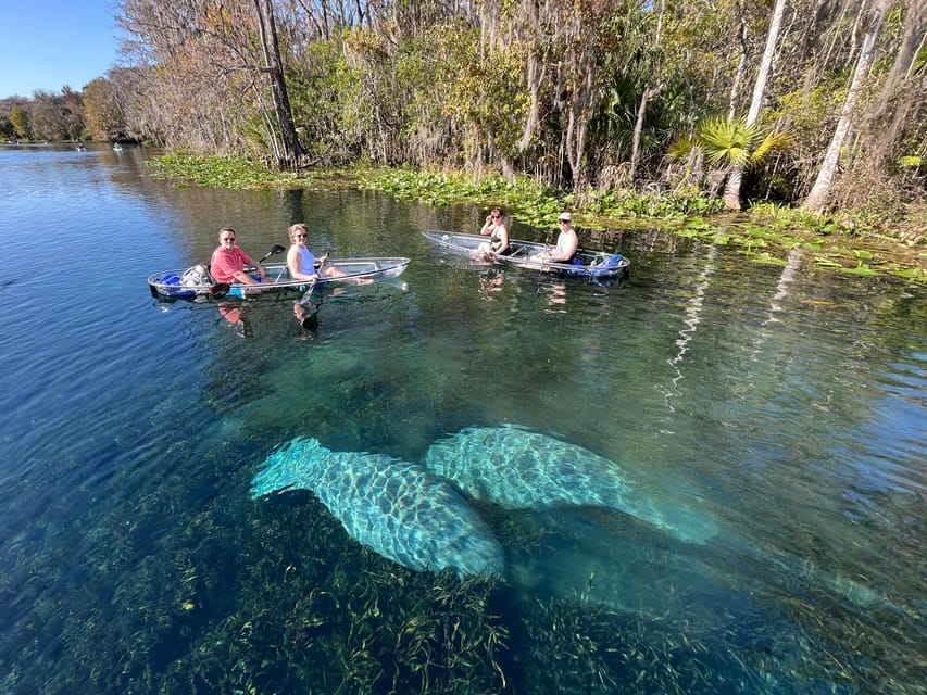 Silver Springs: Clear Kayak Wildlife Tour - The Sum Up
