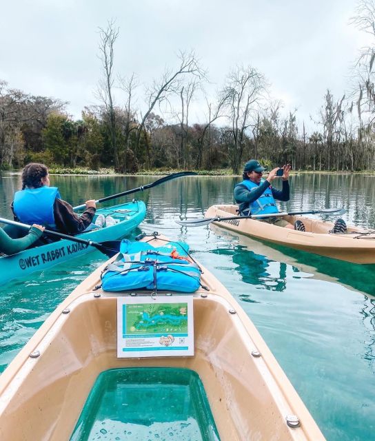 Silver Springs: Glass Bottom Kayak and Wildlife Tour - What to Expect During the Tour
