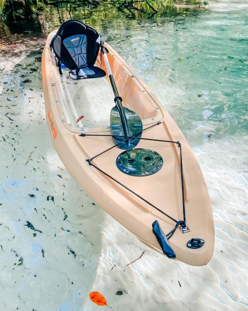 Silver Springs: Glass Bottom Kayak and Wildlife Tour - Cost and Value