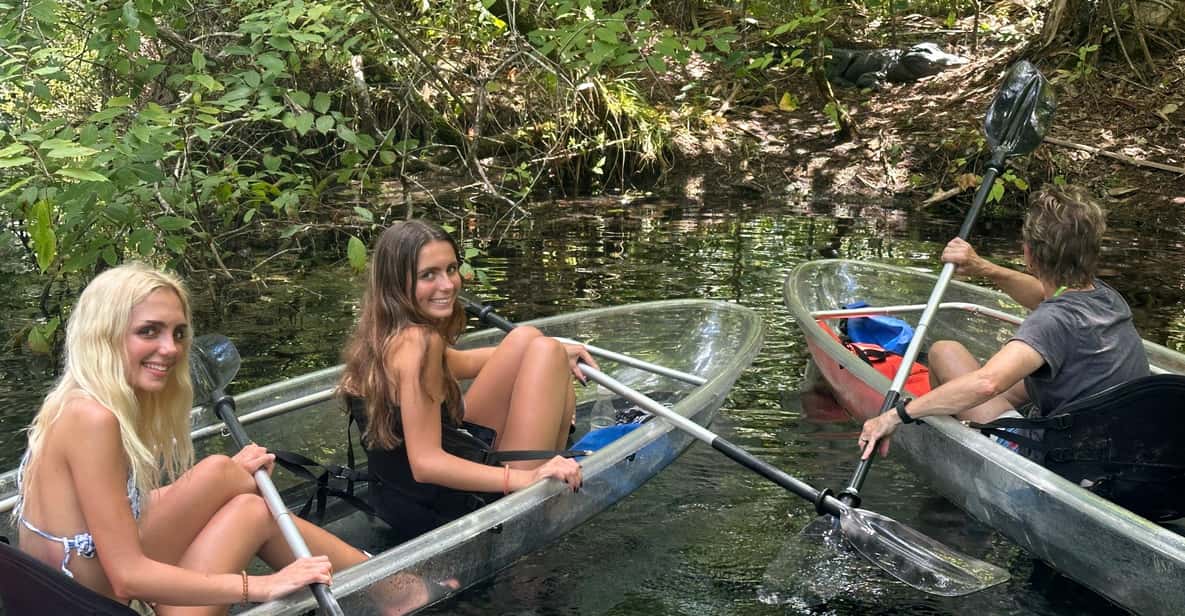 Silver Springs: Guided Clear Kayak or Paddleboard Gator Tour - Key Points  