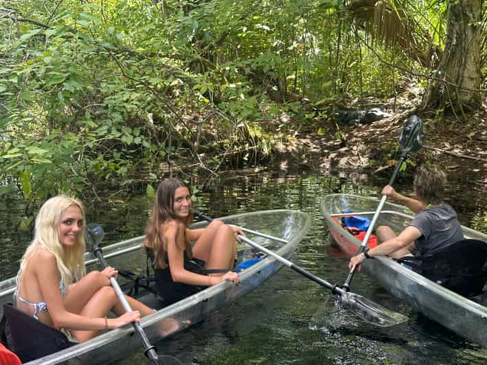 Silver Springs: Guided Clear Kayak or Paddleboard Gator Tour - The Experience: What to Expect on Your Silver River Adventure