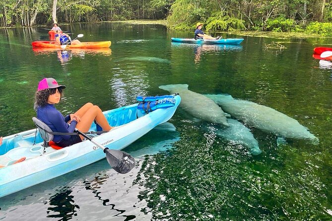 Silver Springs Kayak Rental - The Best Florida Adventure - Key Points
