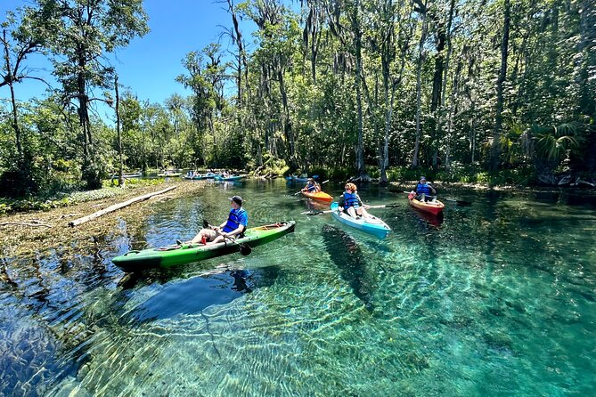 Silver Springs Kayak Rental - The Best Florida Adventure - The Sum Up