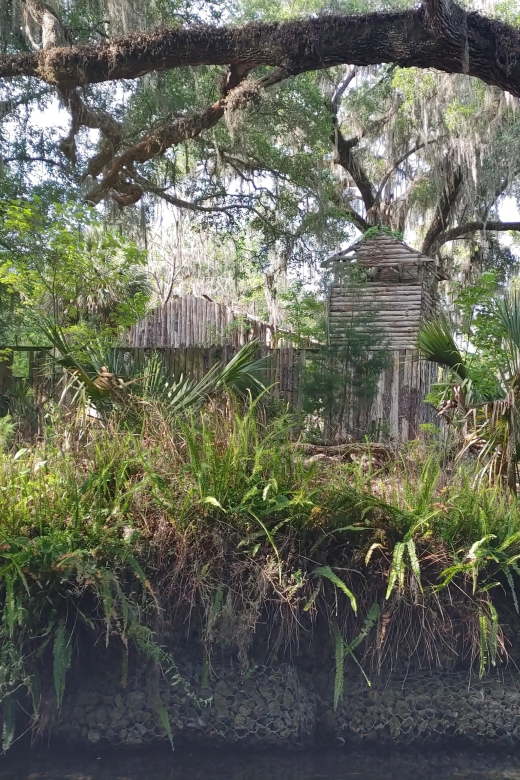 Silver Springs Manatee Kayaking Tour - Final Thoughts