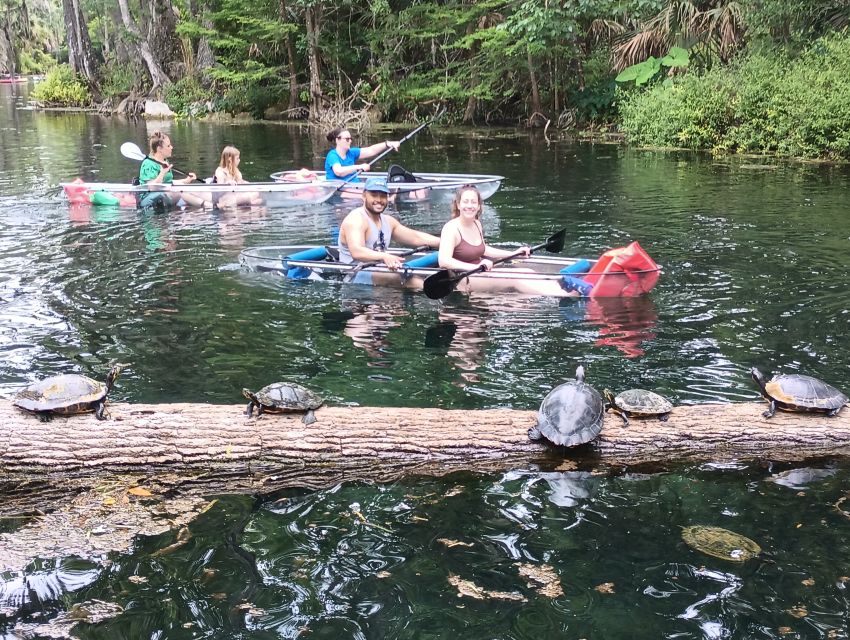 Silver Springs: Manatees and Monkeys Clear Kayak Guided Tour - What Could Be Better?