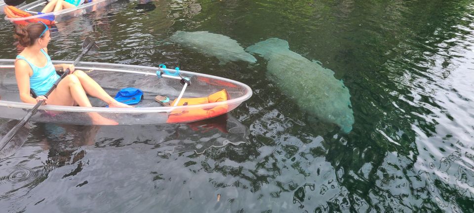 Silver Springs: Manatees and Monkeys Clear Kayak Guided Tour - FAQs