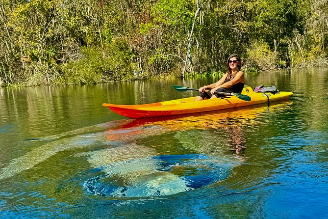 Silver Springs Premium Florida Wildlife Experience! - Key Points