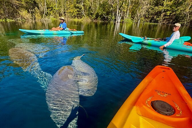 Silver Springs Premium Florida Wildlife Experience! - Exploring the Details of the Silver Springs Experience