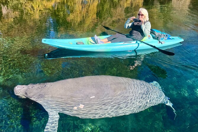 Silver Springs Premium Florida Wildlife Experience! - The Experience: What Travelers Can Expect