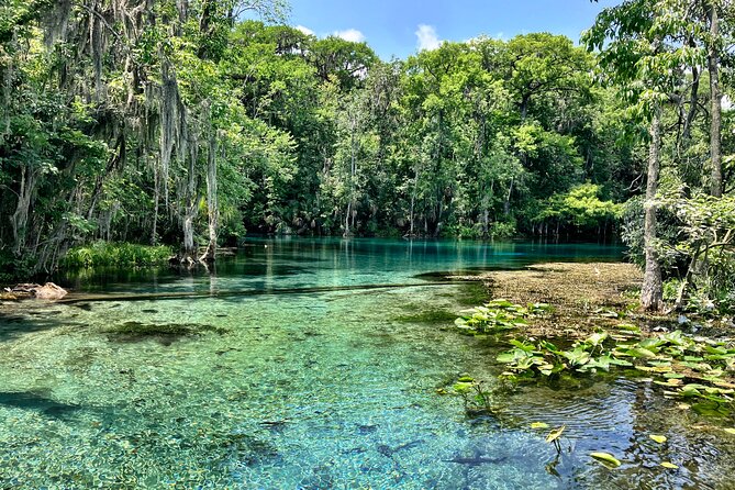 Silver Springs Premium Florida Wildlife Experience! - Why This Tour Is Worth Considering