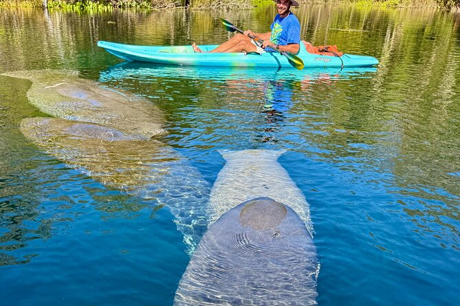 Silver Springs Premium Florida Wildlife Experience! - The Sum Up: Is the Silver Springs Premium Wildlife Experience Right for You?