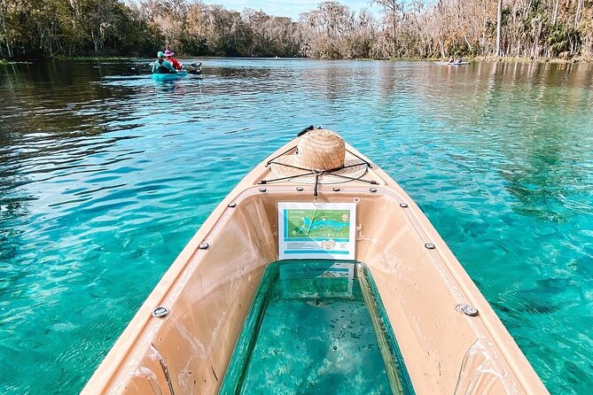 Silver Springs Wildlife Tour - Glass Bottom Kayaks - Who Would Love This Tour?