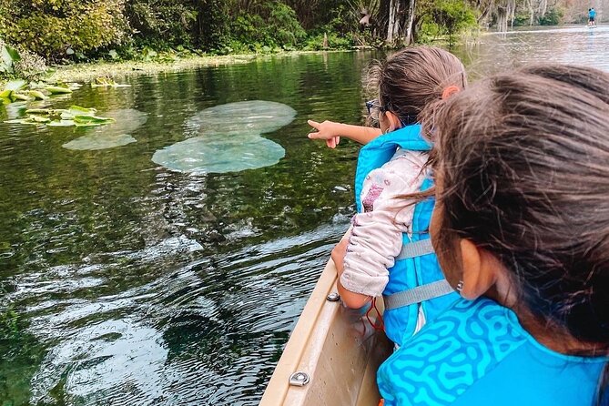Silver Springs Wildlife Tour - Glass Bottom Kayaks - Final Thoughts