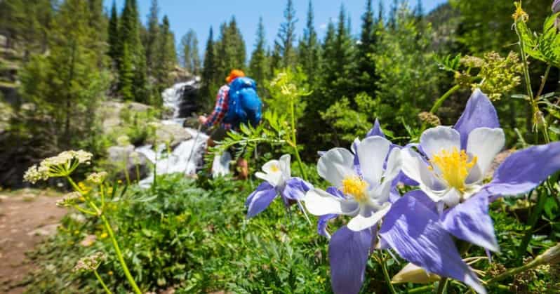 Silverthorne: Boots to Boats Adventure Package - Day 1: Rafting – Feel the Rush on Colorado’s Waterways