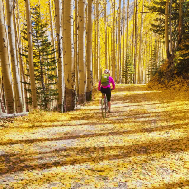 Silverthorne: Mountain Bike Ride Salt Lick Trails - Who Should Sign Up for This Experience?