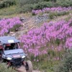Silverton: Half-Day ATV Offroad Adventure - What Makes This ATV Adventure Stand Out