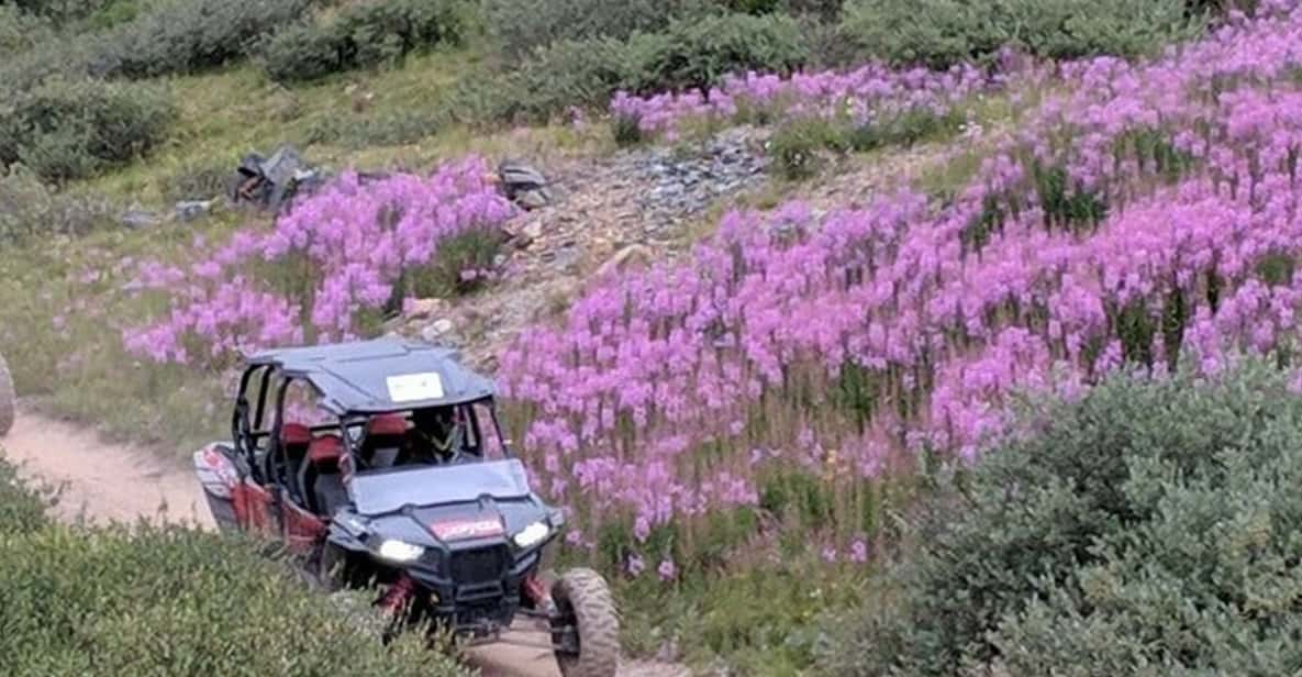 Silverton: Half-Day ATV Offroad Adventure - What Makes This ATV Adventure Stand Out