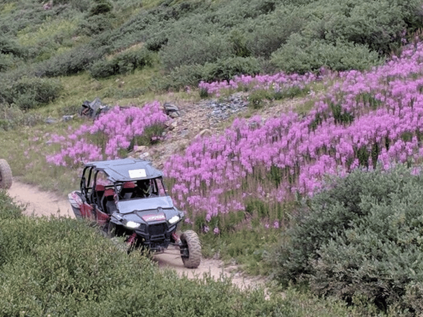 Silverton: Half-Day ATV Offroad Adventure - Why This Tour Offers Great Value