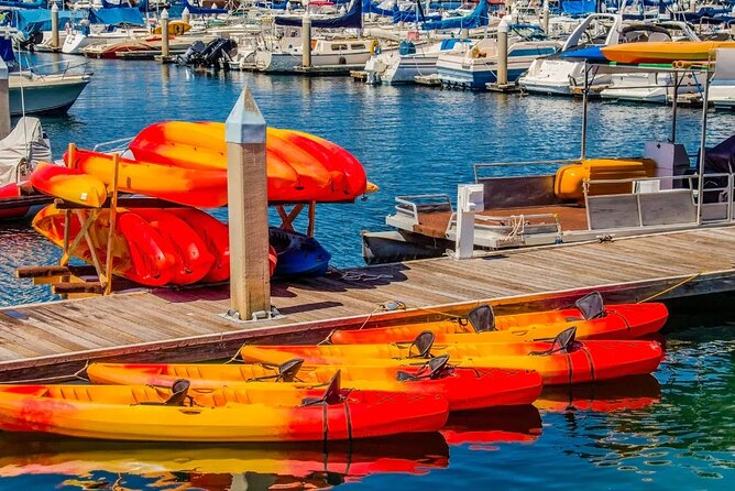 Single Kayak Rental in Mission Bay - Authentic Insights from Reviewers
