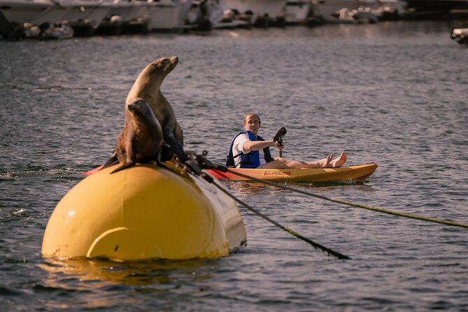 Single Kayak Rental in Mission Bay - Pricing and Value Analysis
