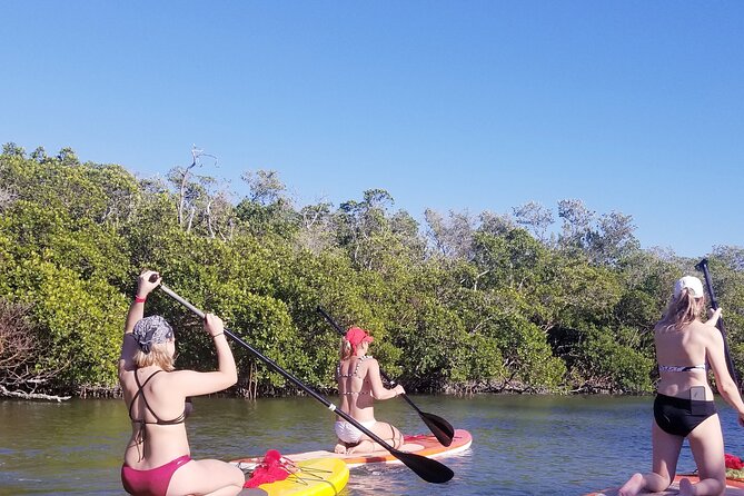 Single Kayak Rental on Big Hickory Pass - The Sum Up