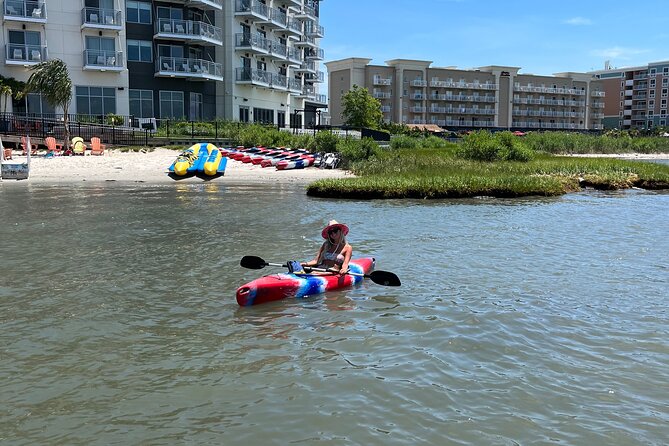 Single Kayak Rentals in Ocean City, MD - The Itinerary & What You Can Expect