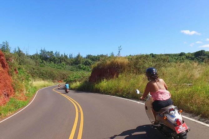 Single Passenger Moped/Scooter - 18+ NO Motorcycle License Needed - Key Points