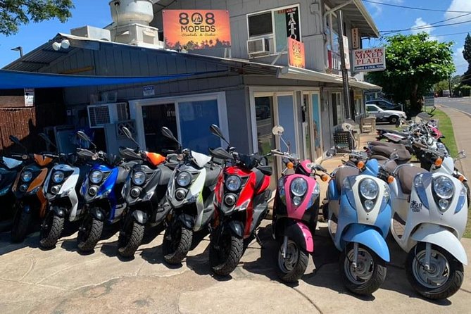 Single Passenger Moped/Scooter - 18+ NO Motorcycle License Needed - The Itinerary: What to Expect