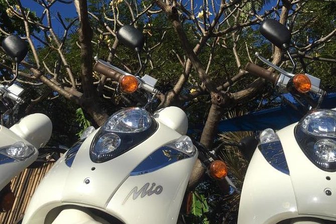 Single Passenger Moped/Scooter - 18+ NO Motorcycle License Needed - Practical Details and Tips