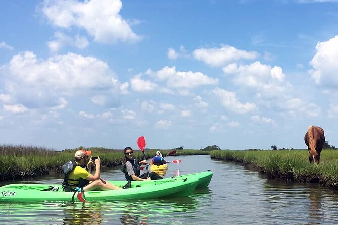 Single Sit on Top Kayak Rental at Assateague Island, MD - Key Points