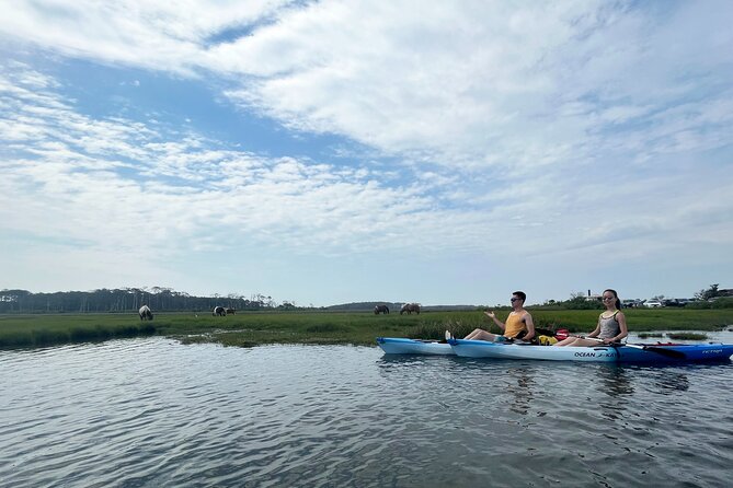 Single Sit on Top Kayak Rental at Assateague Island, MD - Exploring Assateague Island by Kayak