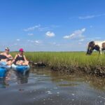 Single Sit on Top Kayak Rental at Assateague Island, MD - What to Expect During Your Kayaking Experience