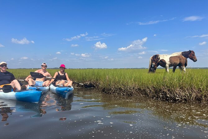 Single Sit on Top Kayak Rental at Assateague Island, MD - What to Expect During Your Kayaking Experience