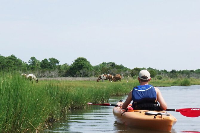 Single Sit on Top Kayak Rental at Assateague Island, MD - Final Thoughts