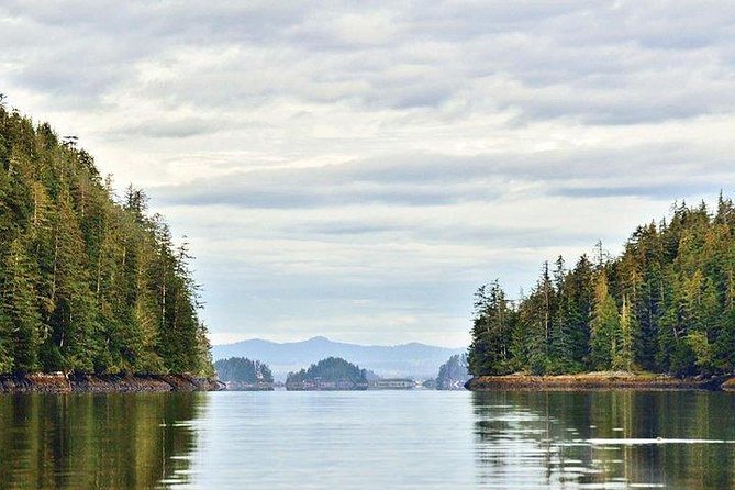 Sitka Boat and Sea Kayaking Adventure - Price and Value