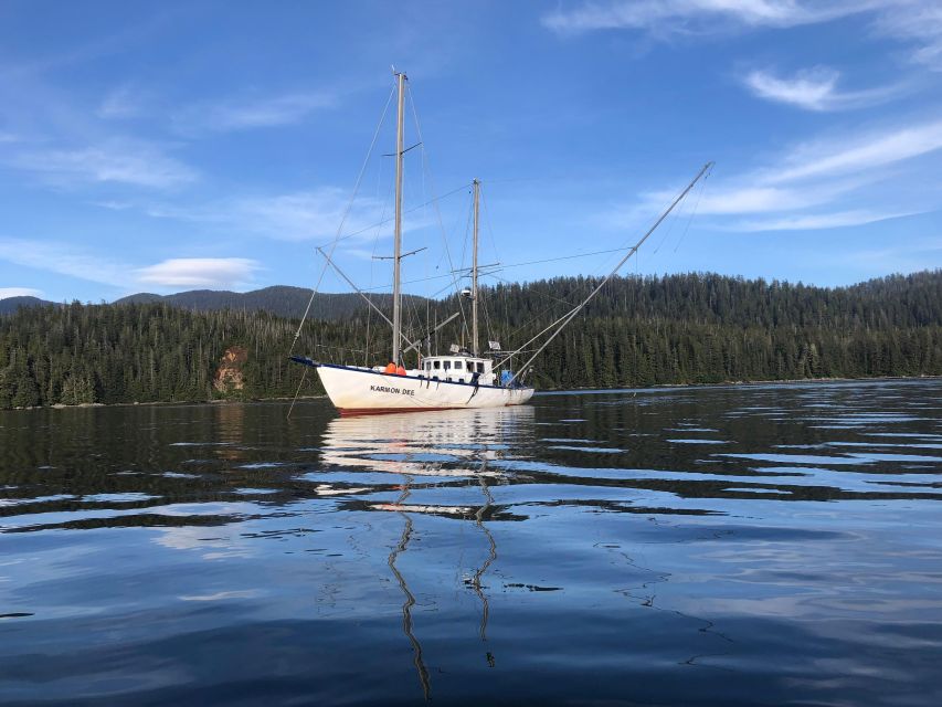 Sitka Boat Tours: whale watching, hot springs, kayaking - An In-Depth Look at the Experience