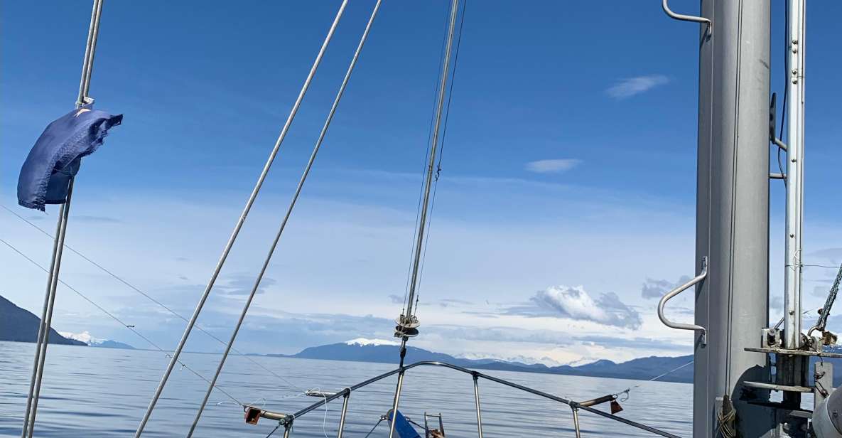 Sitka Boat Tours: whale watching, hot springs, kayaking - Why This Tour Offers Value