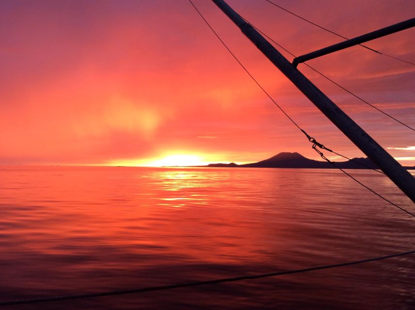 Sitka Boat Tours: whale watching, hot springs, kayaking - Who Should Book This Tour?