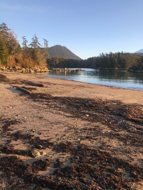 Sitka Boat Tours: whale watching, hot springs, kayaking - Final Thoughts