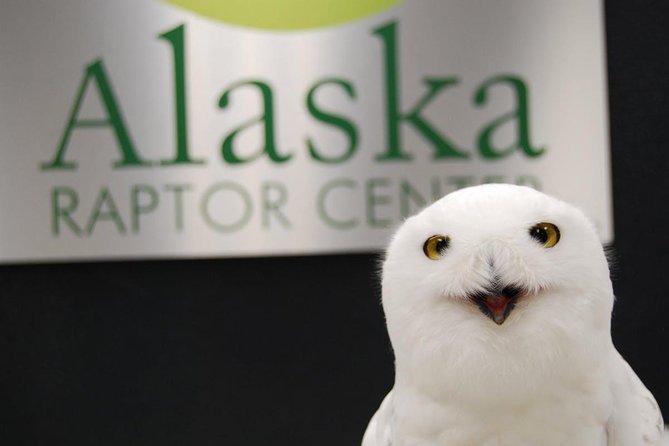 Sitka Premium Tour- Private- Alaska Raptor Center, Fortress of the Bears,Totems - Who Would Love This Tour?