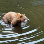 Sitka Private Adventure 4x4 Truck Tour & Lunch w/2 admissions - The Practicalities: What You Need to Know