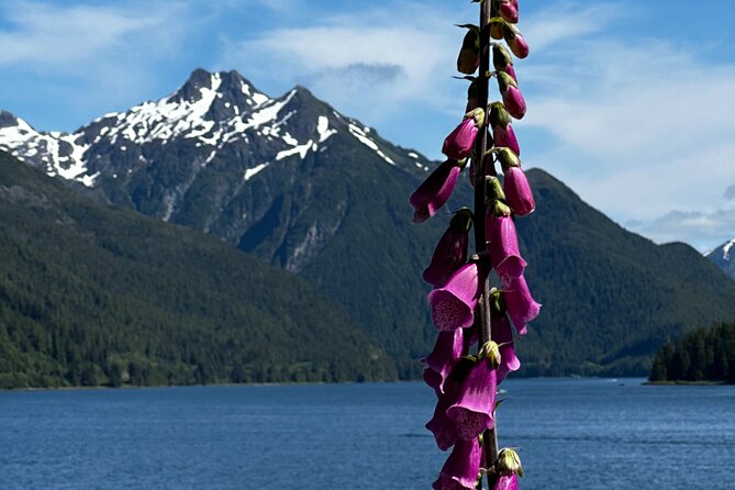 Sitka Private Adventure 4x4 Truck Tour & Lunch w/2 admissions - Who Will Love This Tour?