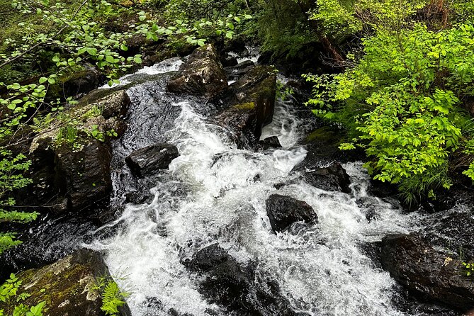 Sitka Private Adventure 4x4 Truck Tour & Lunch w/2 admissions - FAQ