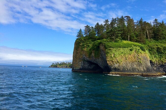 Sitka Sea Birds & Marine Life Private Charter Scenic Eco-Tour - Introduction: An Authentic Sitka Sea Encounter