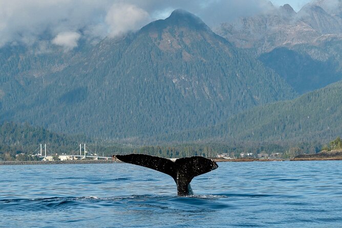Sitka Sea Birds & Marine Life Private Charter Scenic Eco-Tour - Who Will Love This Tour?