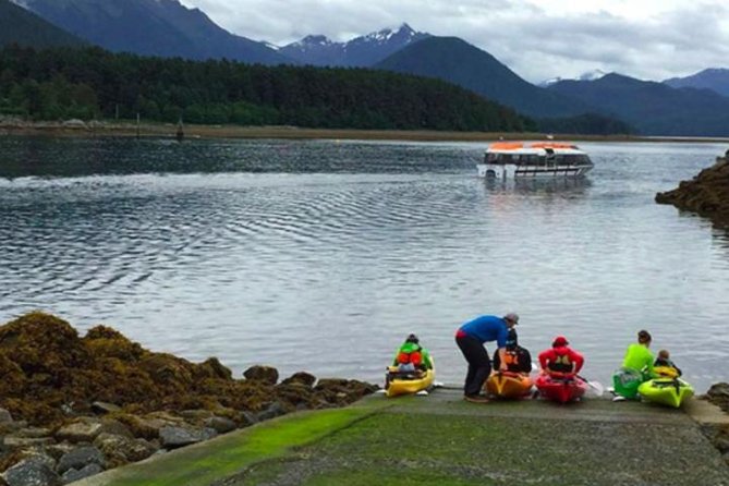 Sitka Shore Excursion: Sitka Harbor & Islands Guided Kayaking - Key Points
