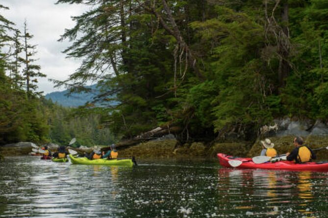 Sitka Shore Excursion: Sitka Harbor & Islands Guided Kayaking - Who Is This Tour Best For?