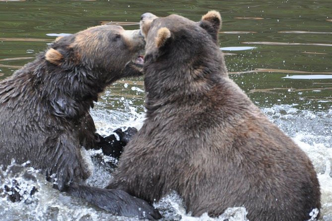 Sitka Sightseeing Tour including Fortress of the Bear and Totem Poles - FAQ Section