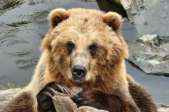 Sitka's only Private Simply Amazing Tour - A Detailed Look at Sitka’s Only Private Simply Amazing Tour